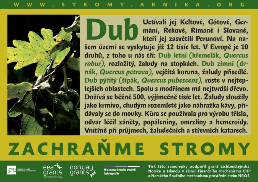 Dub