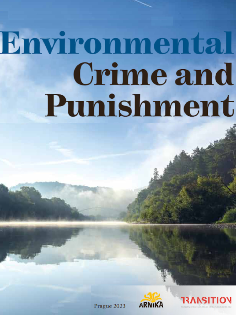 Environmental Crime and Punishment: How to build an efficient state ...