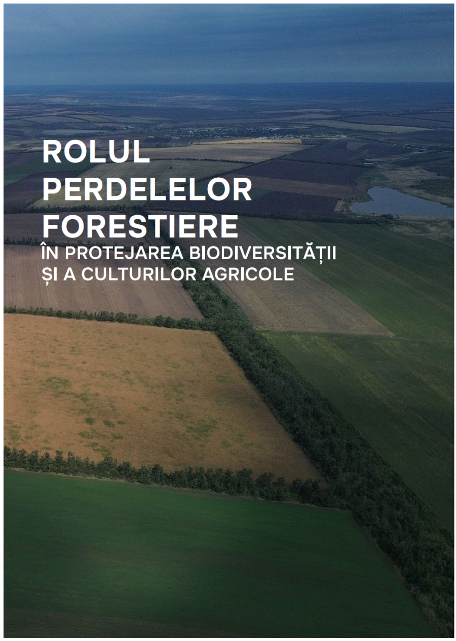 Function of forest belts in protecting biodiversity and agricultural land