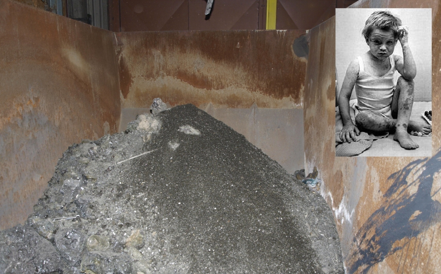 Seveso Accident and Planetary Pollution Boundaries