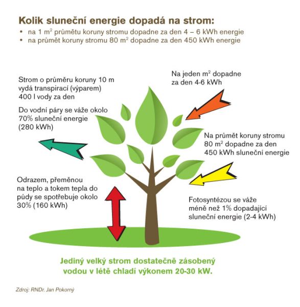 Klimatizace - Arnika